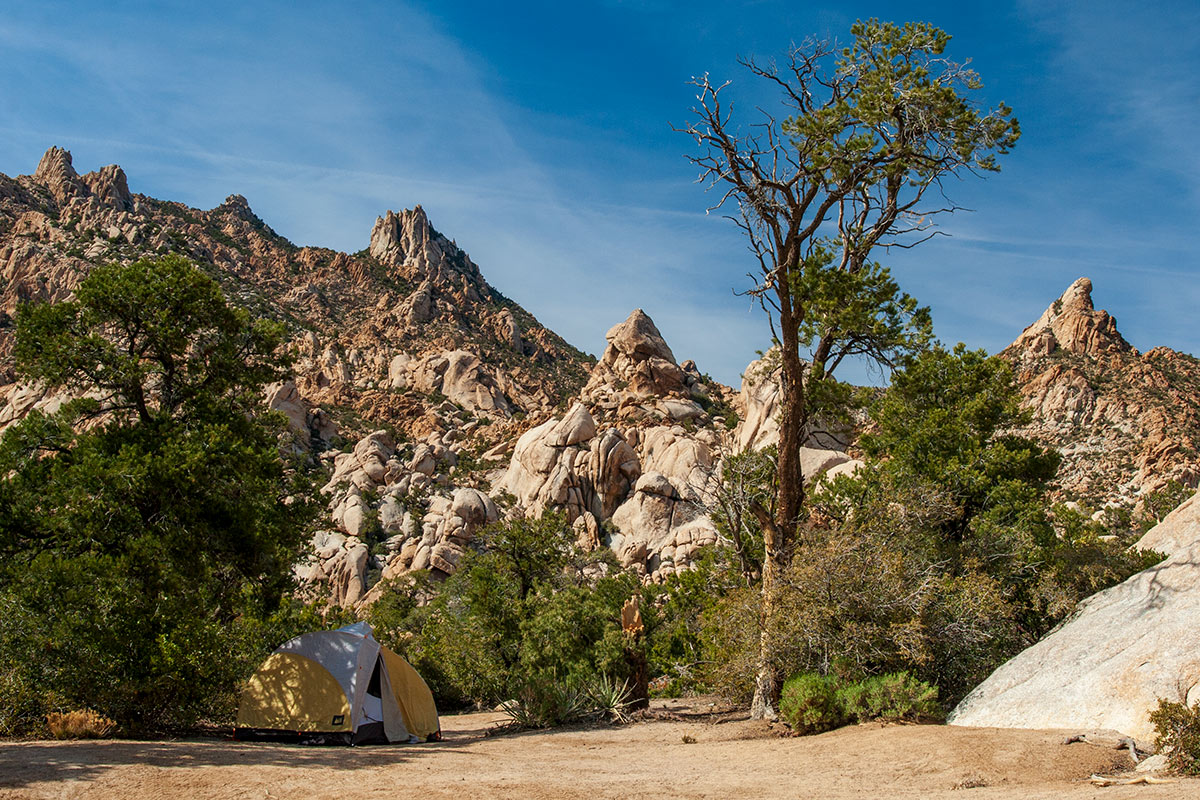 Spring Break! Camping at Caruthers Canyon – Sense Memory